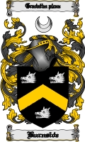 Burnside Family Crest Burnside Coat of Arms - Tradebit