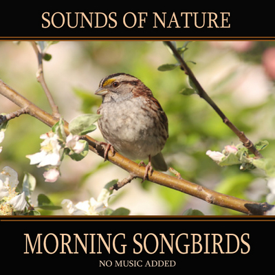 Morning Songbirds (Nature Sounds) RINGTONE - Tradebit