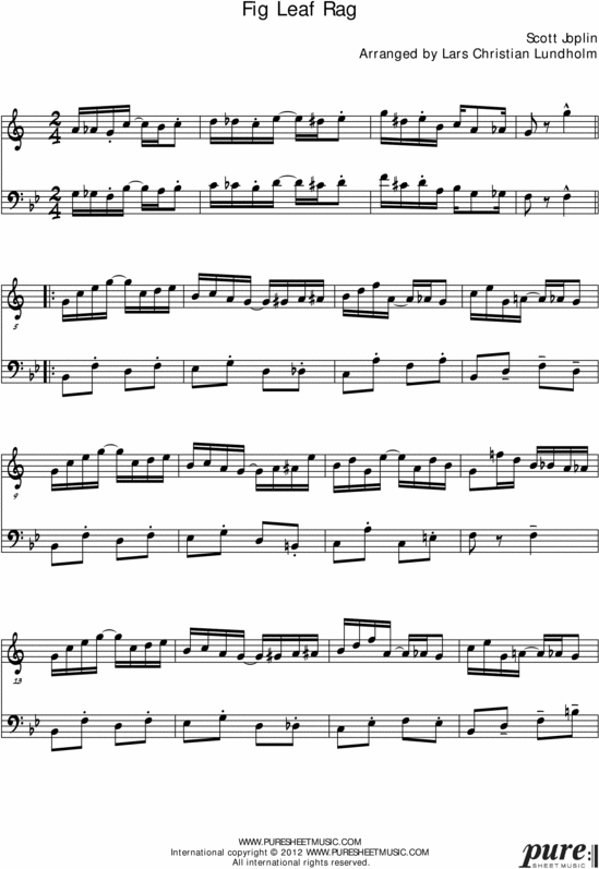 Fig Leaf Rag Pure Sheet Music Duet for Bb Instrument and Double Bass ...