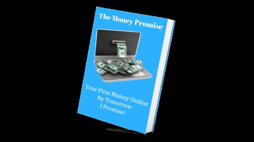 THE MONEY PROMISE - Tradebit