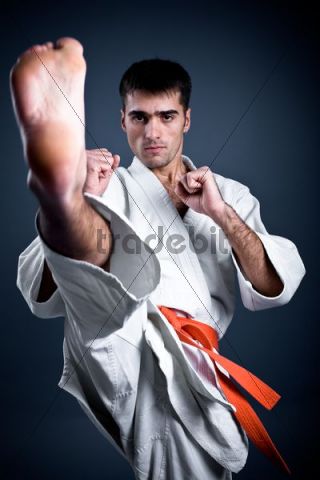 Man doing a high karate kick - Download People