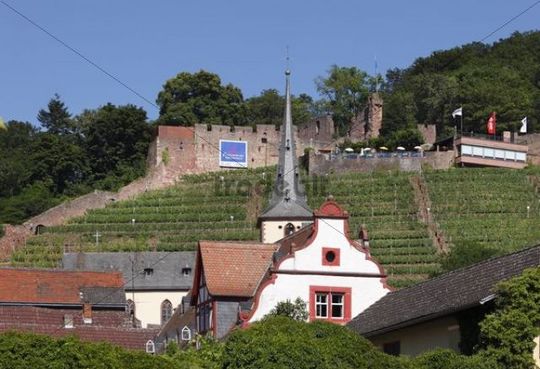 Klingenberg with Clingenburg castle ruins, Mainfranken, Lower Franc...