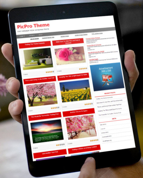 Picpro Wordpress Theme Developer License - Tradebit